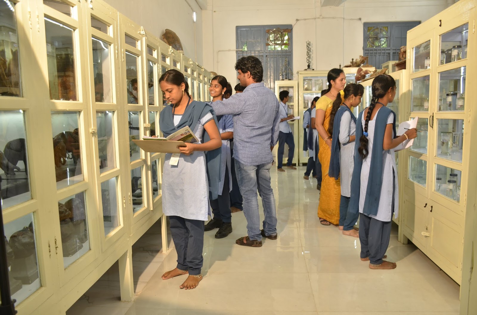 Department of Zoology