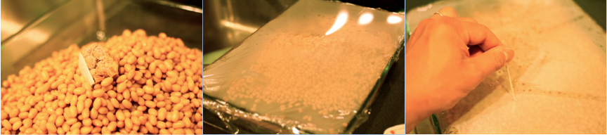 Homemade Natto in the US: Homemade Natto Using Packaged Natto -Batch #37