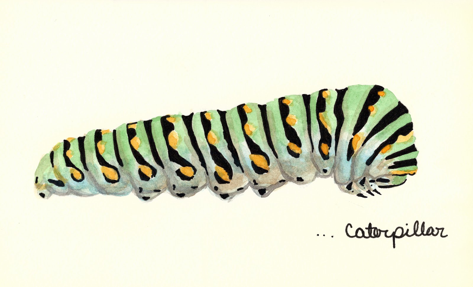 Consider my dear...: Daily Creature Features Part Two