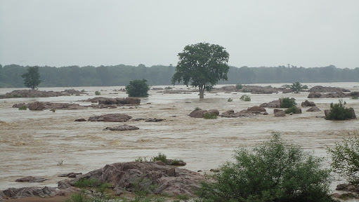 Modi to kick-start $87 billion river inter-linking project "without eco ...