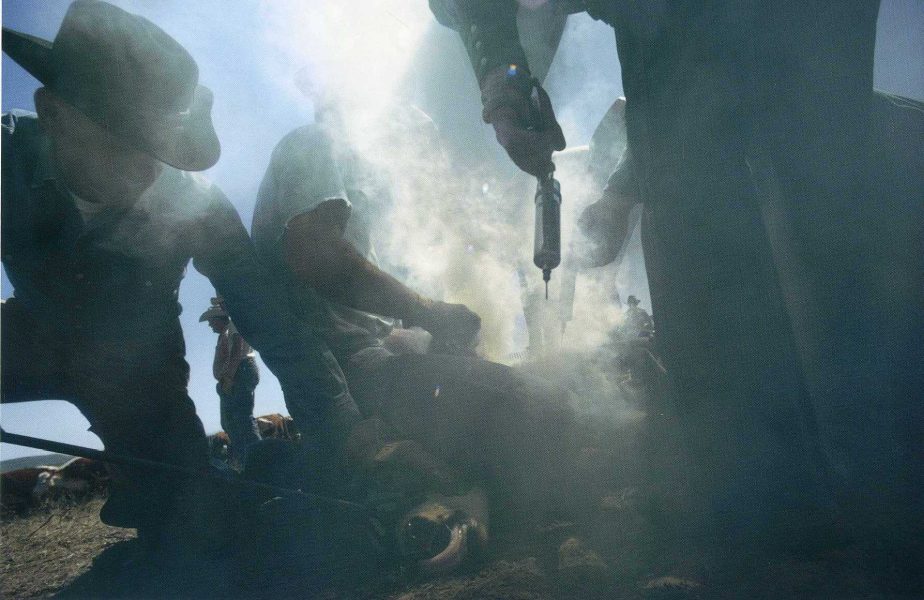 Los Grandes Fotografos: William Albert Allard (1937)