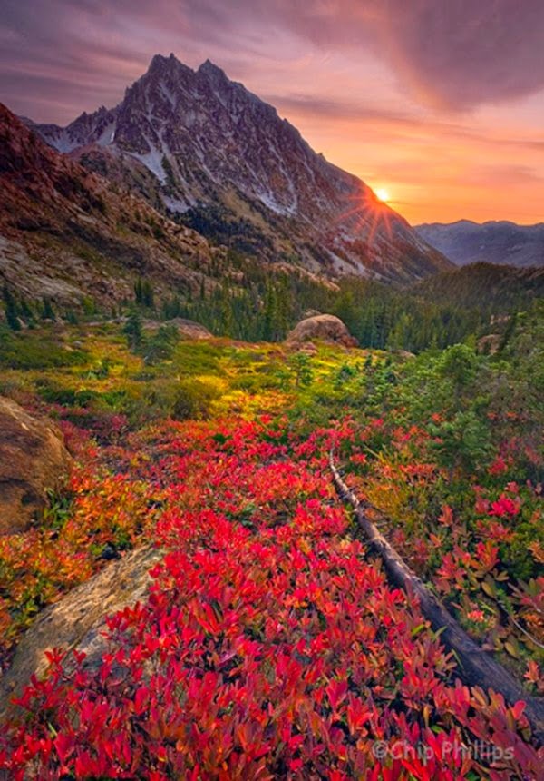 Fotógrafo aficionado estadounidense de Chip Phillips - Las Mejores ...