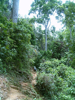 AMAZING BANGLADESH: TAJINDONG