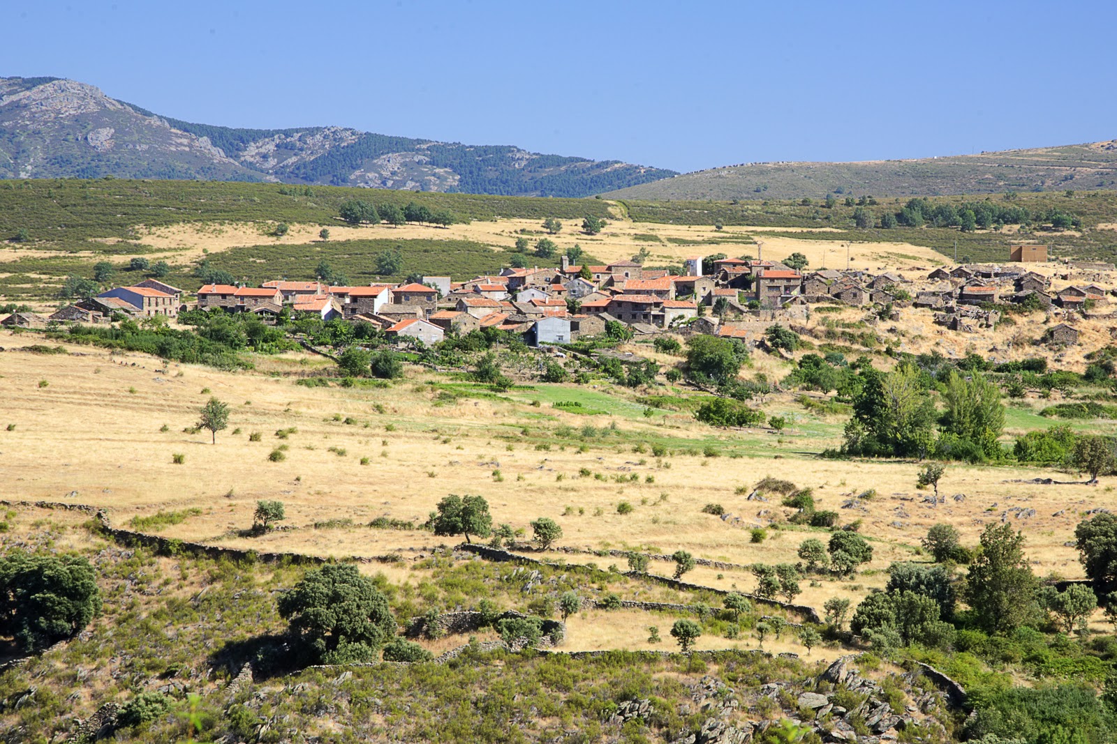Asociación Cultural Las Navas: LAS NAVAS DE JADRAQUE