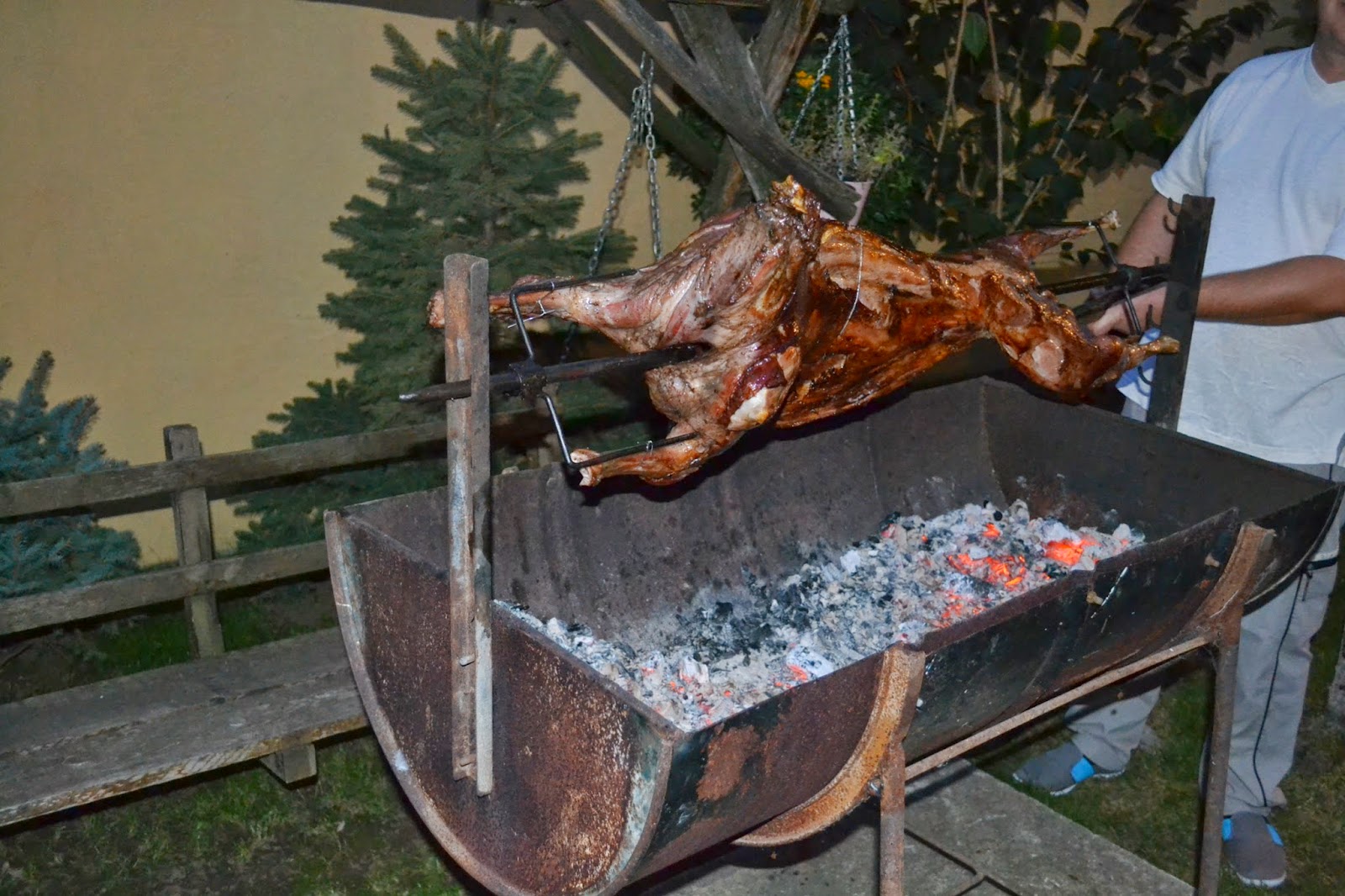 Myra's kitchen: Ied la protap