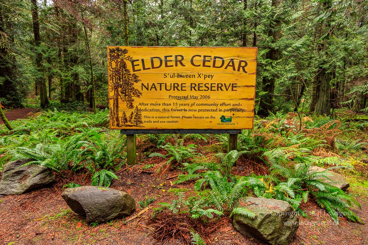 Images West Photography: Elder Cedar Nature Reserve