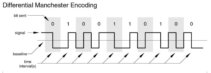 Teknik Pengkodean (Encoding)
