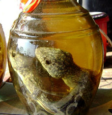 Joy's JOY of Wine: Six Bizarre Wines (You Couldn’t Pay Me to Drink!)