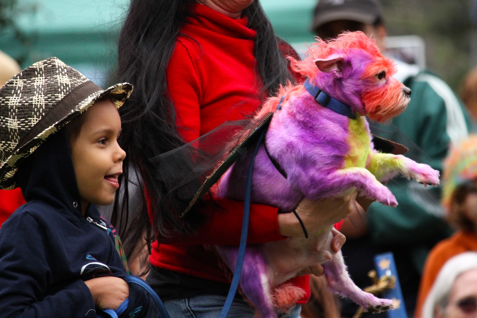 Miriam Rousseau: Midtown Mutt-Minster Dog Show