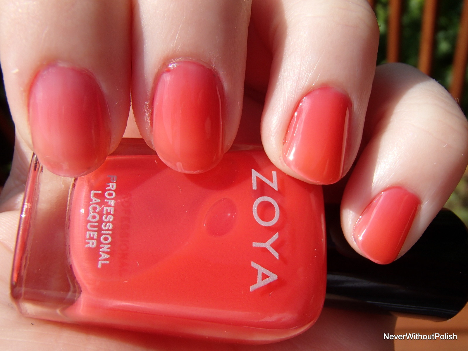 Never Without Polish: Stash Swatch Initiative: Zoya Blogger Collection ...