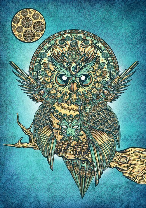 Owls and cats: Búhos: simbolismo y tatuajes