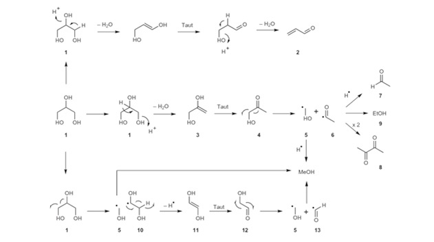 Biodiesel and SVO @ Greece