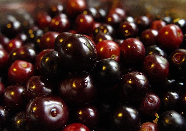 Gastronomía a Libreta Abierta, [=I=]: Capulín