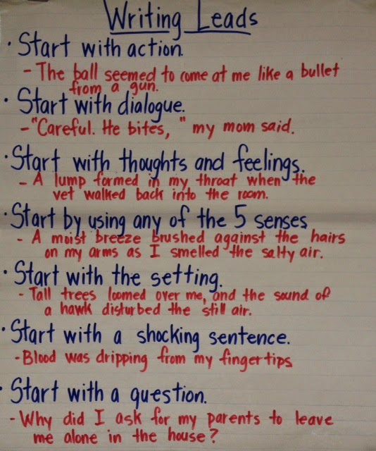 ELA Anchor Charts: Writing Leads
