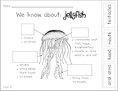 my crazy life in kindergarten: Jellyfish-ing