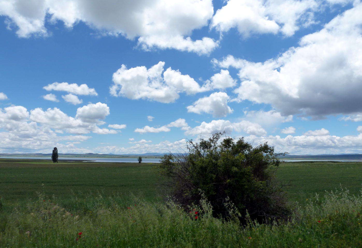 fotopedaleando: Ruta bici de montaña con GPS: visitando la Laguna de ...