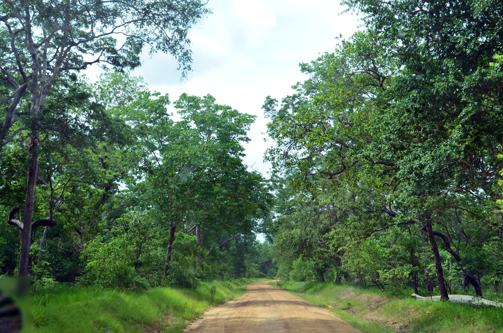 Cape Town To Tanzania: Day 31 Mikadi beach - Liwale
