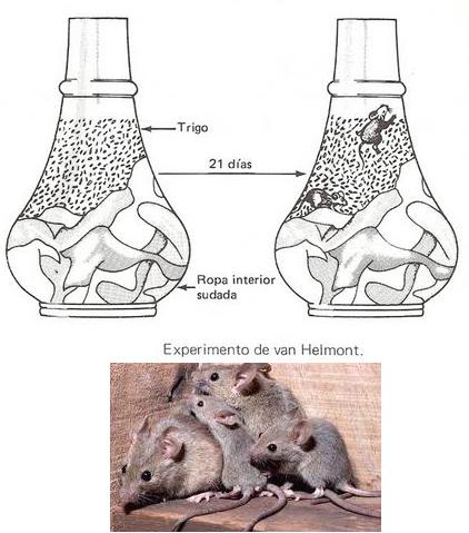 Biología: la ciencia de la vida: Teorías del origen de la vida.