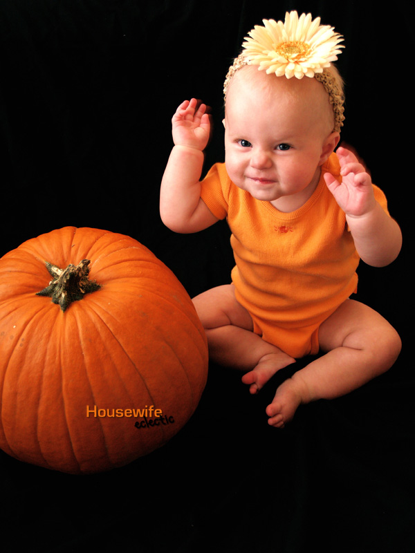 Baby in a Pumpkin- Photo Ideas - Housewife Eclectic