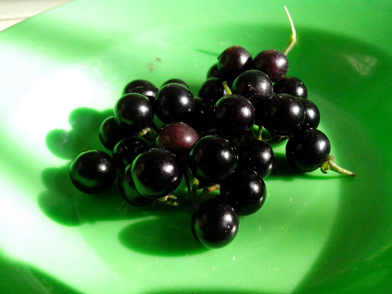 Endah Murniyati's Journey: FRUIT OF THE WEEK - RANTI