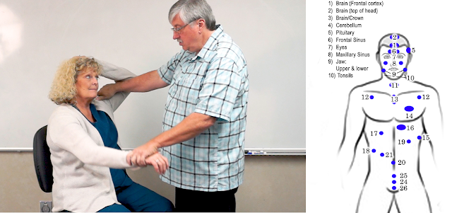 Healthy Preparedness: New! Advanced Muscle Testing Training - Now ...