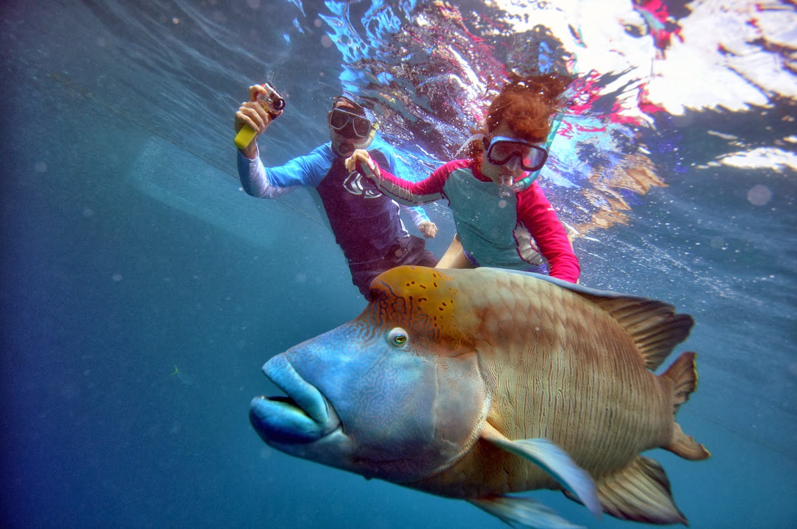 Tara's Australia Trip : The Great Barrier Reef