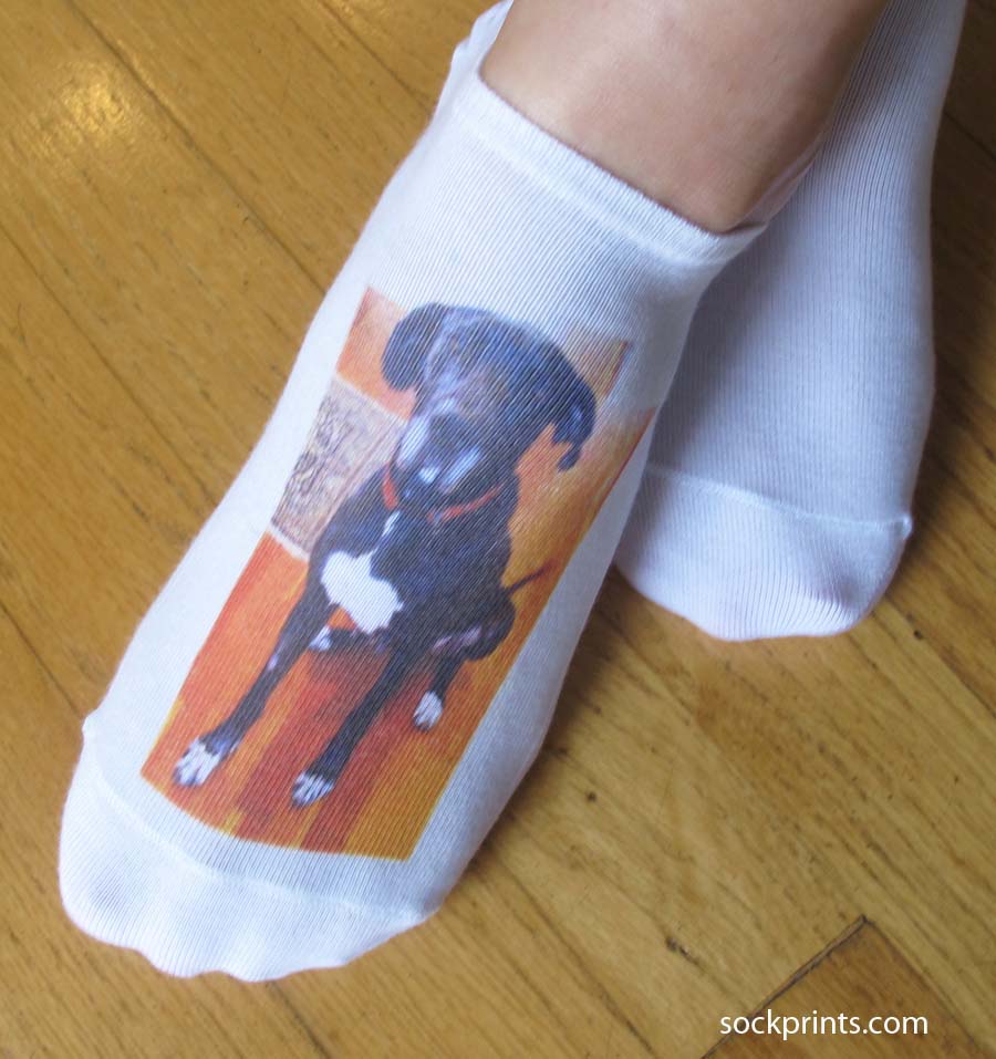 The Happy Sole: Pet Inspired Socks - Photos and Giveaway