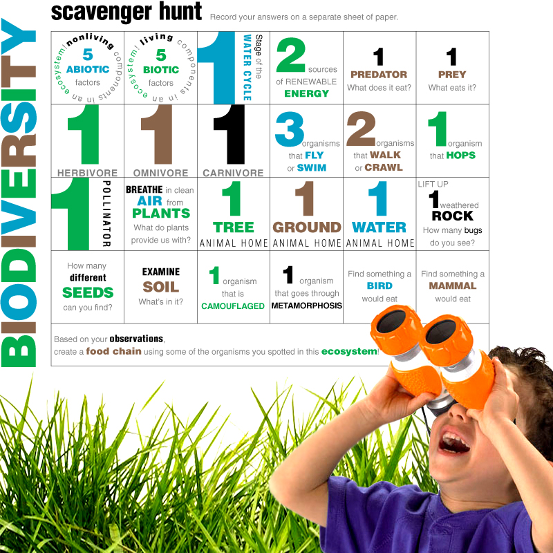 E is for Explore!: Biodiversity Scavenger Hunt