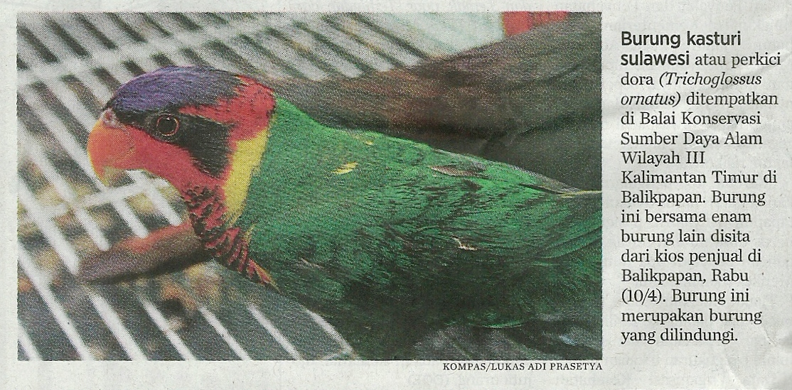 Sumber : Kompas 11 April 2013 hal 14 kol 3