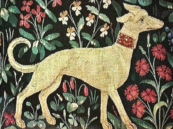Dogs from the Middle Ages: belkomor — LiveJournal