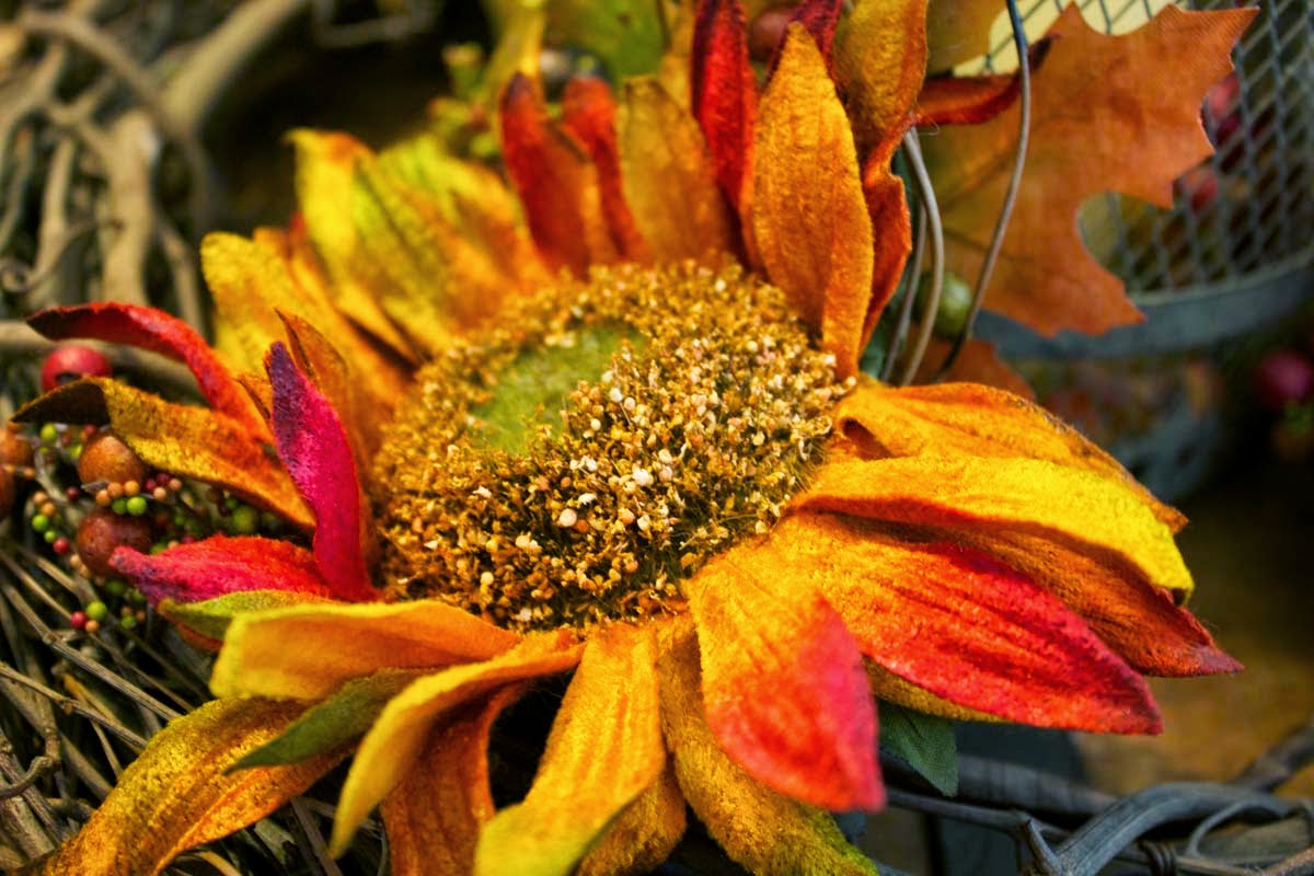 The B Farm : It's Time To Decorate For Fall, Y'all!