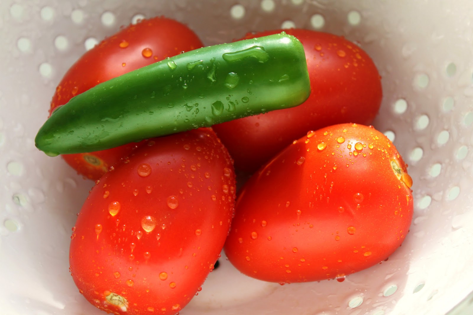 Enchiladas with fresh tomato sauce - A Feast For The Eyes