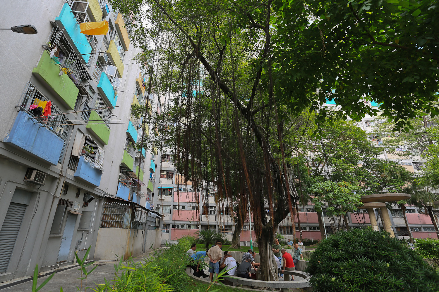 In the Sky: Choi Hung Estate, aka Rainbow Estate Kowloon HK