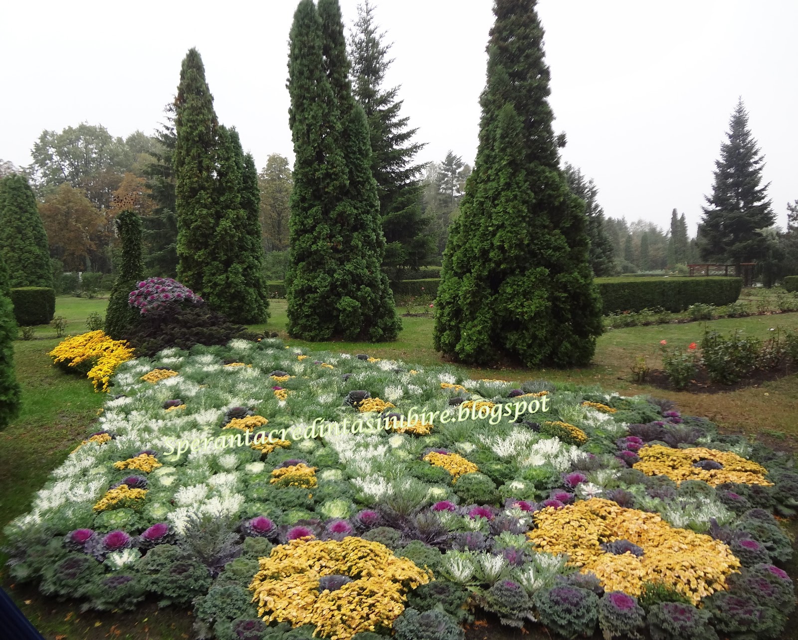 Speranta, credinta si iubire: Printre flori - Gradina Botanica din Iasi