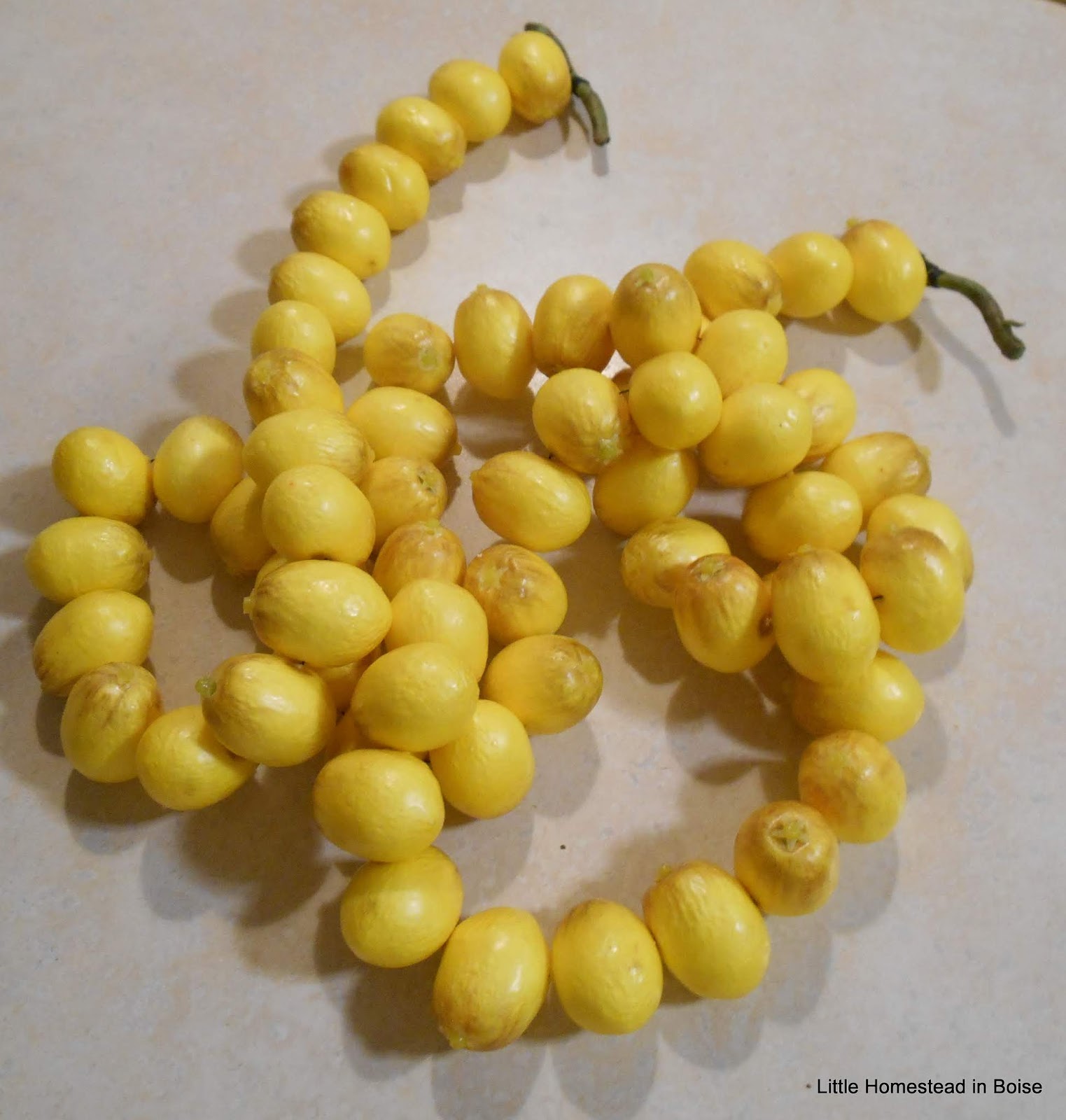 Little Homestead In Boise : DIY Lemon Topiary, Cubicle Reveal