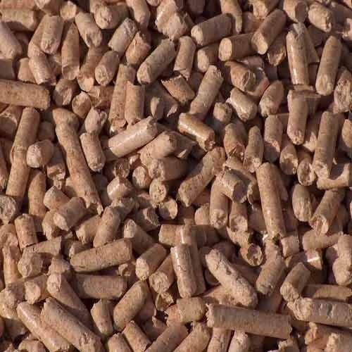 Biotechnology: BIOMASS BRIQUETTE & BIOMASS PELLETS:–
