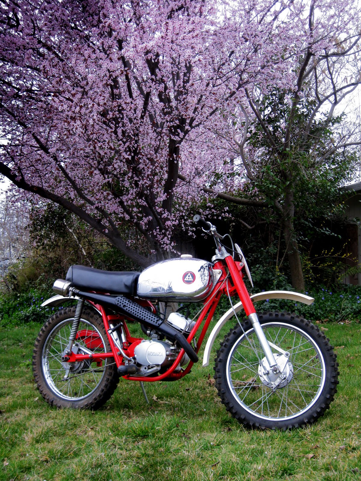 .: Hodaka ACE 90 Wrenchin'