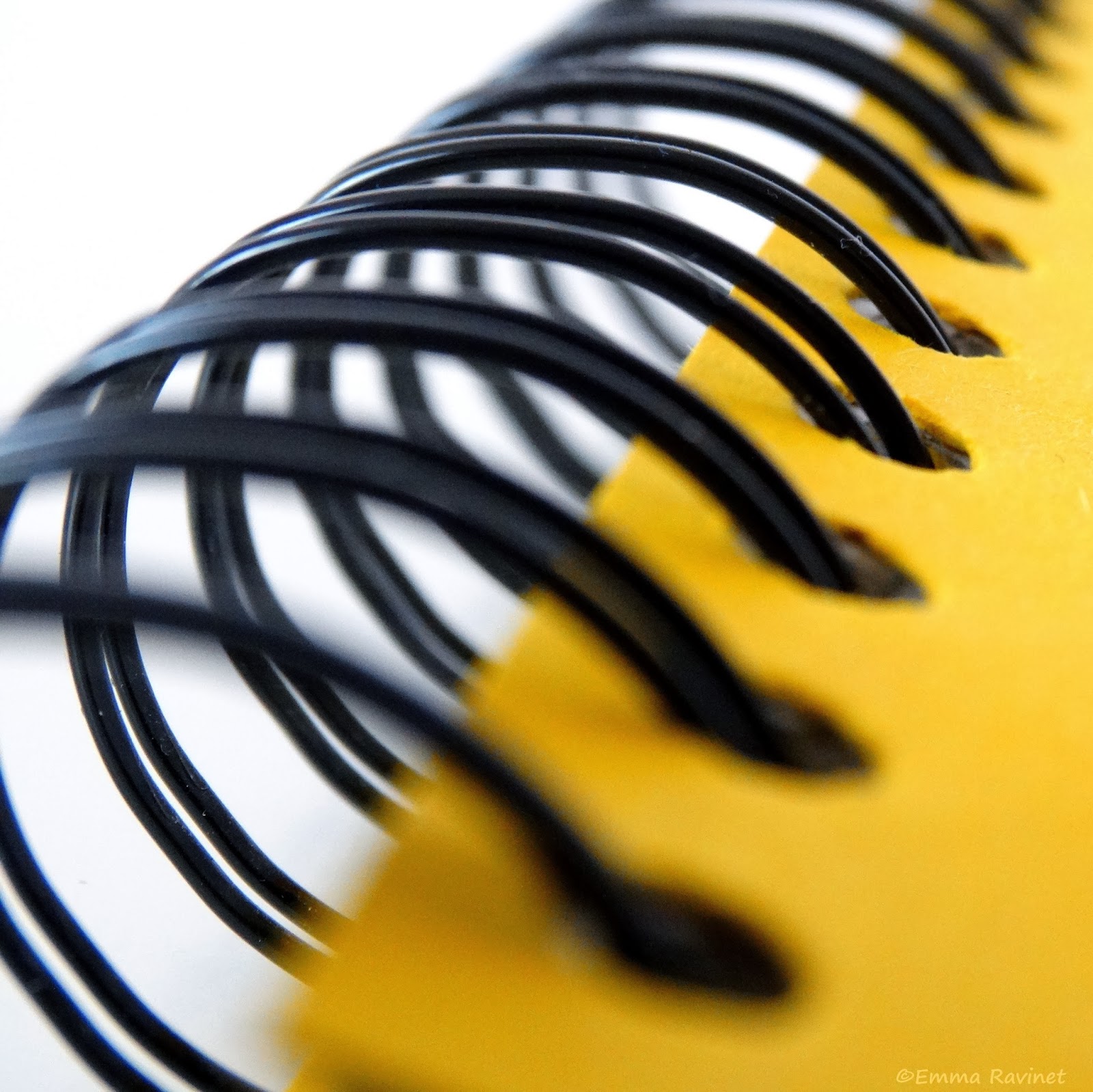 Projet Photo Renouvelable - semaine 9 : Spirale - My Point Of View