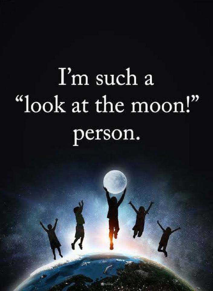 I am such a look at the moon person. - Quotes