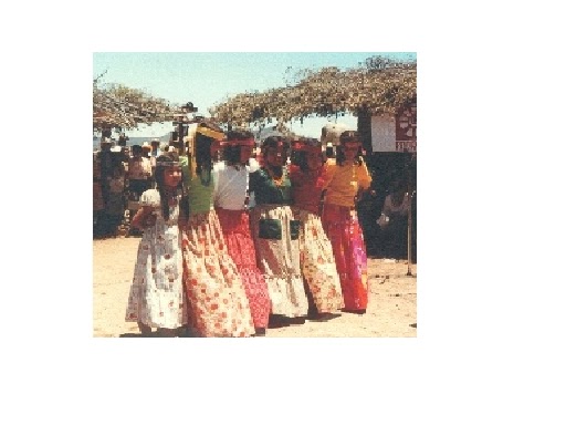 GRUPOS ETNICOS DE BAJA CALIFORNIA: LOS PAI PAI