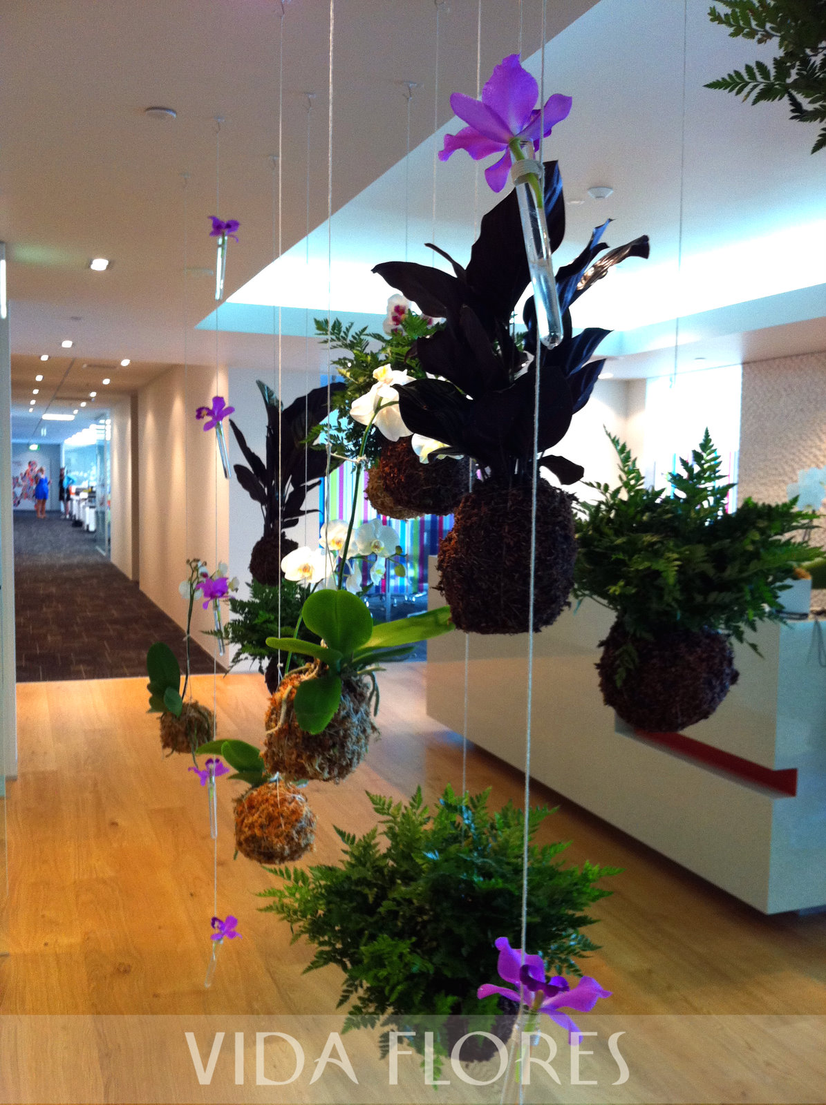 Vida Flores: String Garden