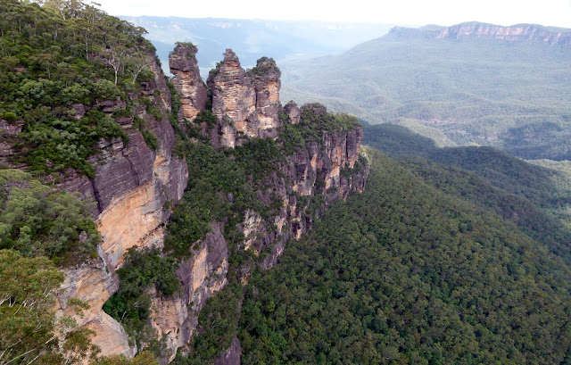 QUEENSLAND BIRDER - Birds and the natural world at home and away.: BLUE ...