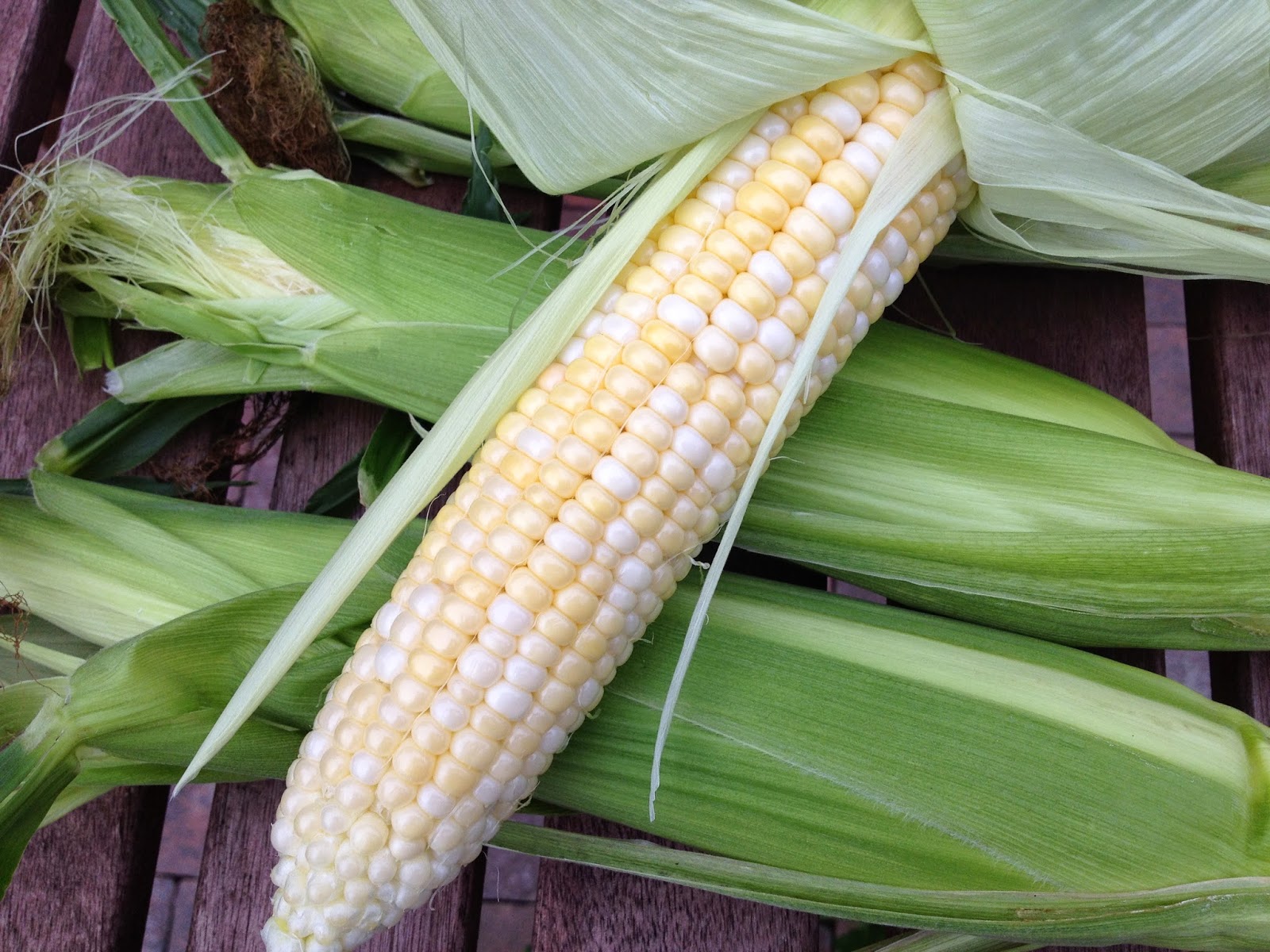 At Long Last: Corn!