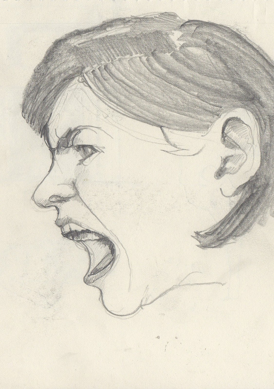 The Studio Journal: More on Expressions