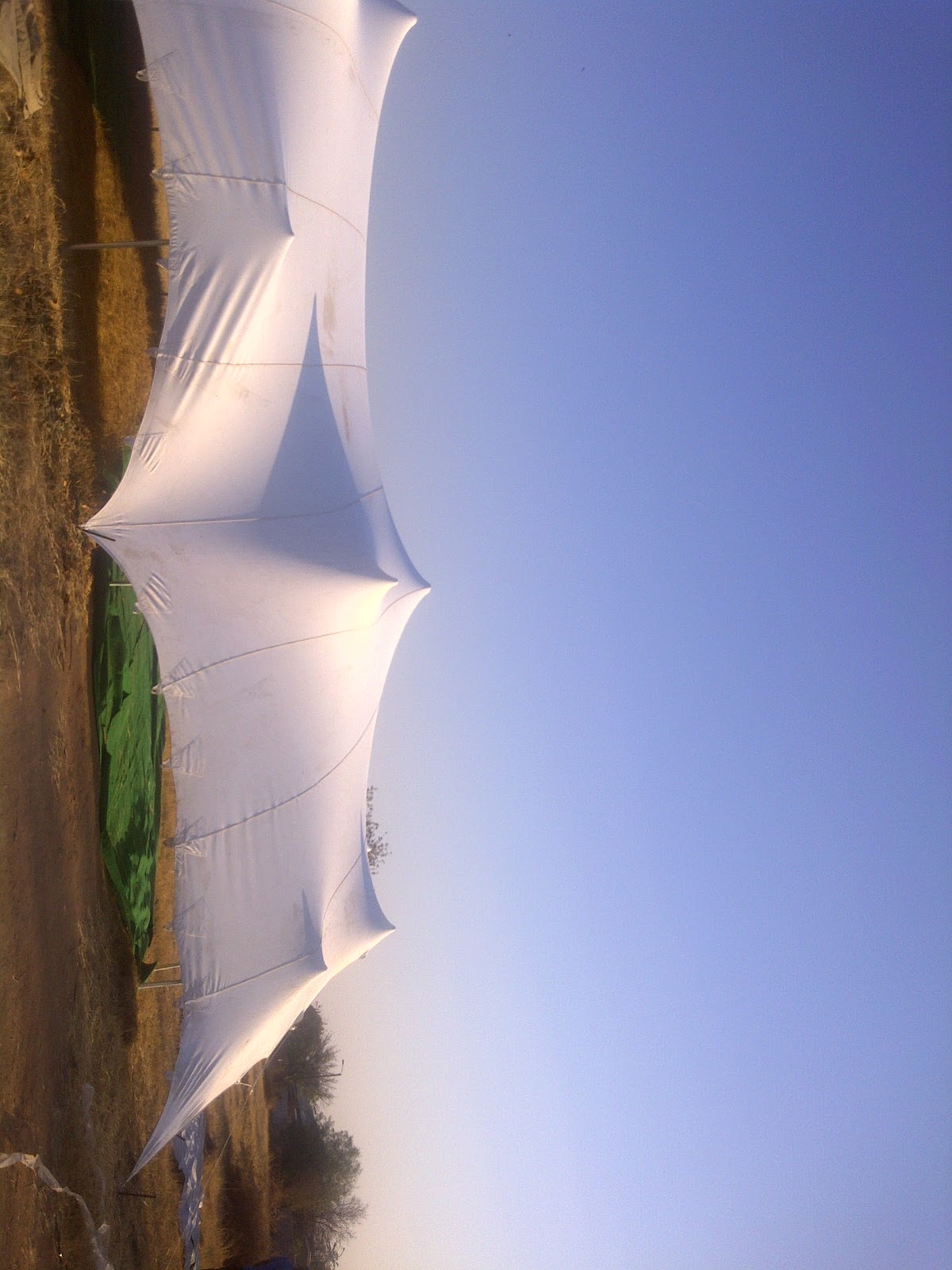 Ratco Events Online: Gallery