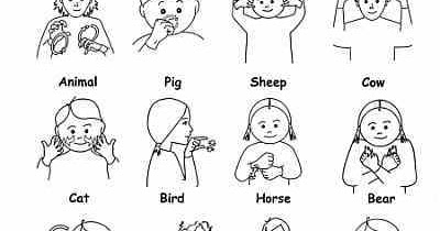 Science matters: Makaton