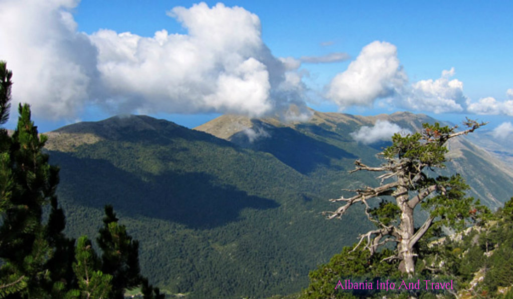 LLOGARA NATIONAL PARK | Albanian Tourism Guide