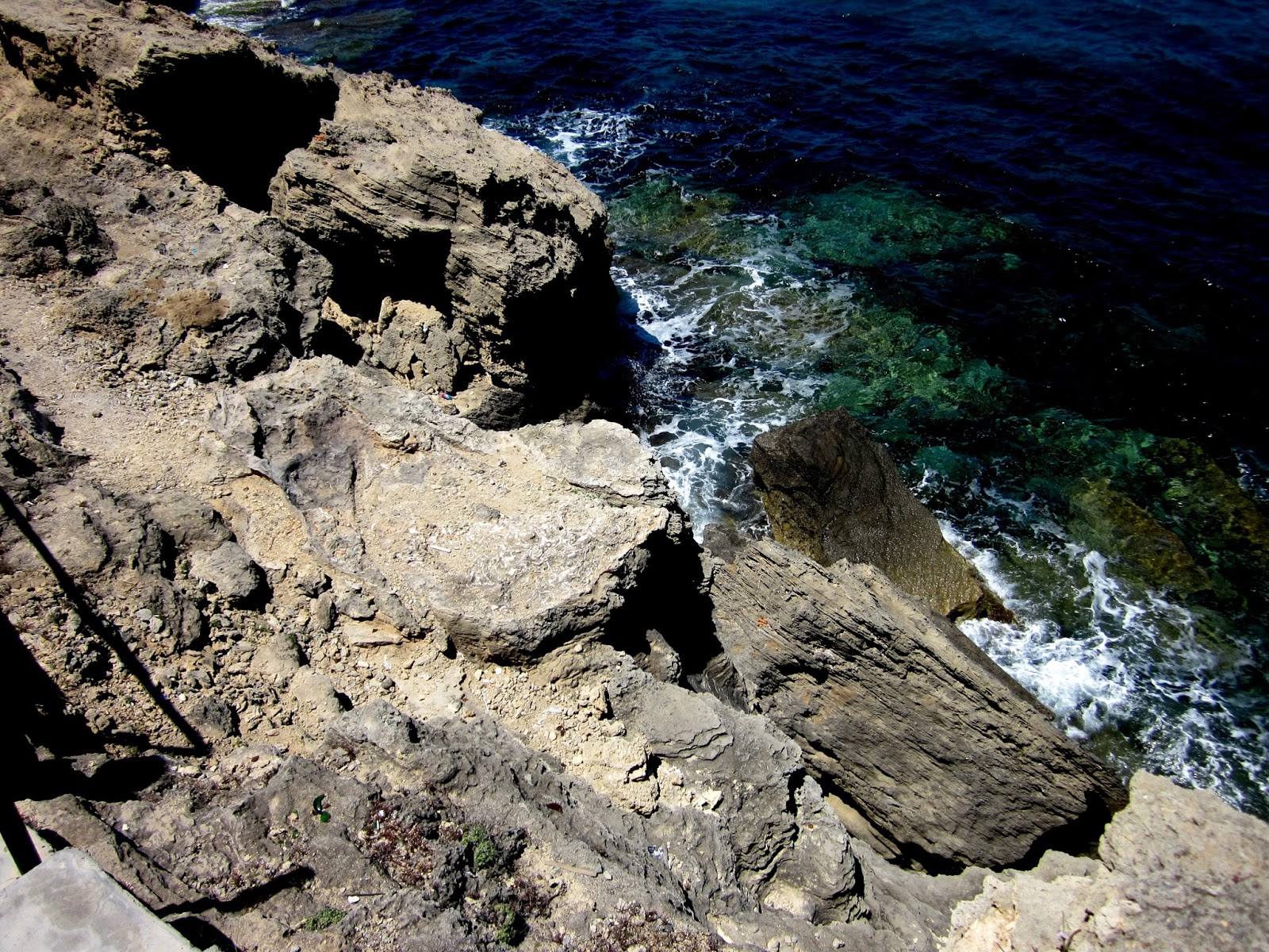 Biodiversity of Cyprus by NGO Protection of the Natural Heritage and ...