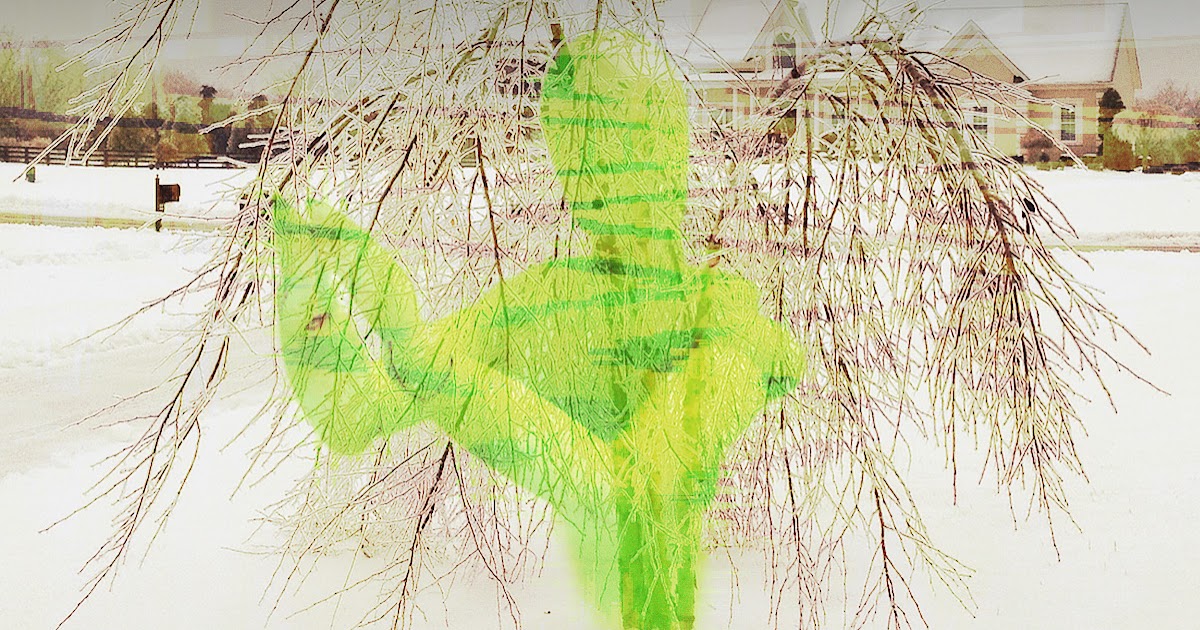 Free Ideas: Collage: Humility