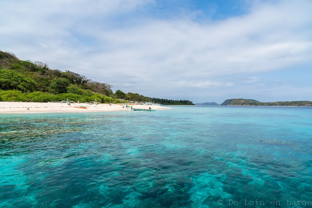 De loin en large: 2018